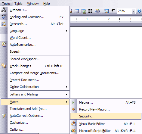 Enabling Word Macros: Changing the Word Macro Security Settings
